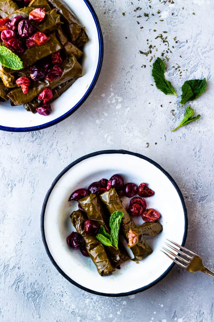 Dolma Recipe with Cranberries (Turkish Visneli Sarma) | Aegean Delight