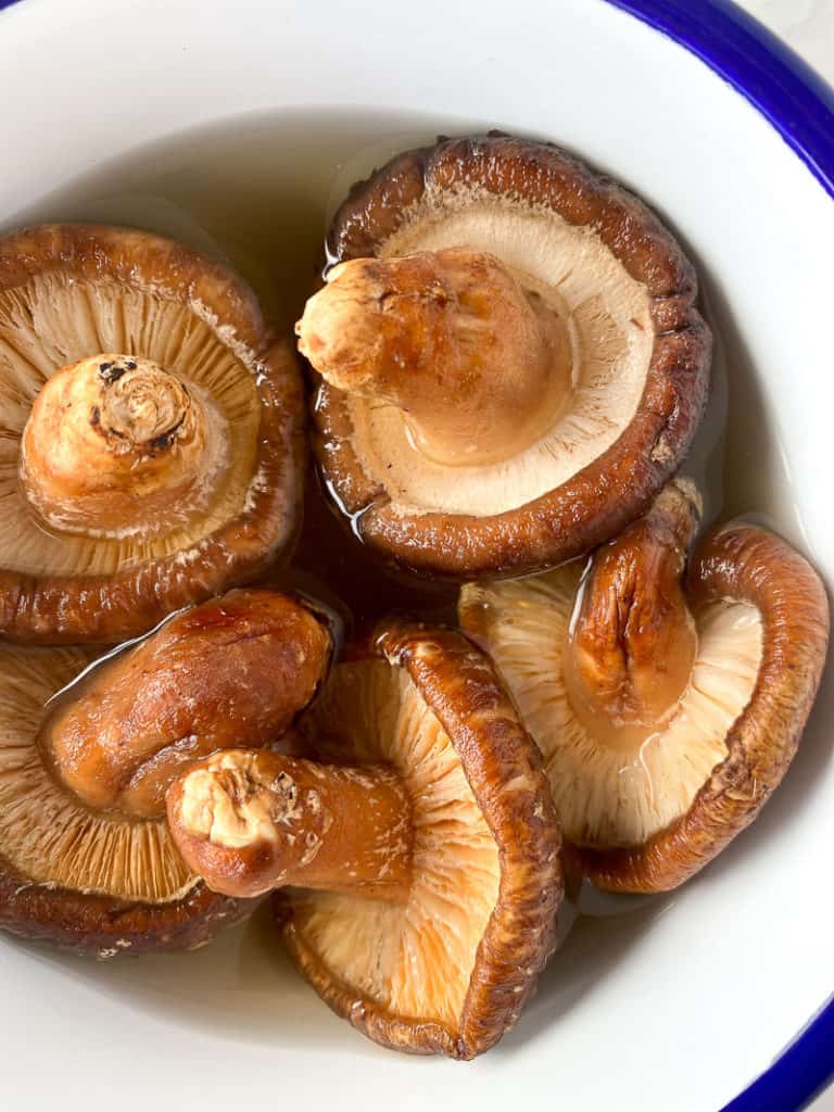 Vegan Ground Beef Substitute (Walnuts and Dried Mushrooms) | Aegean Delight